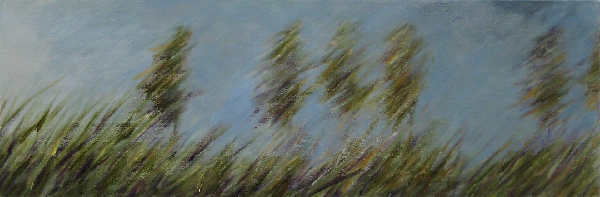 Artwork – Lauren Rader Art