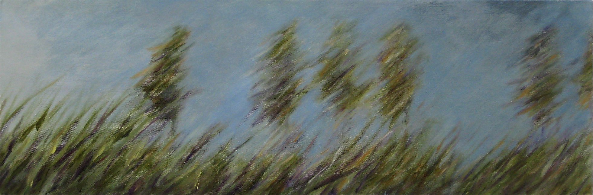 Artwork – Lauren Rader Art